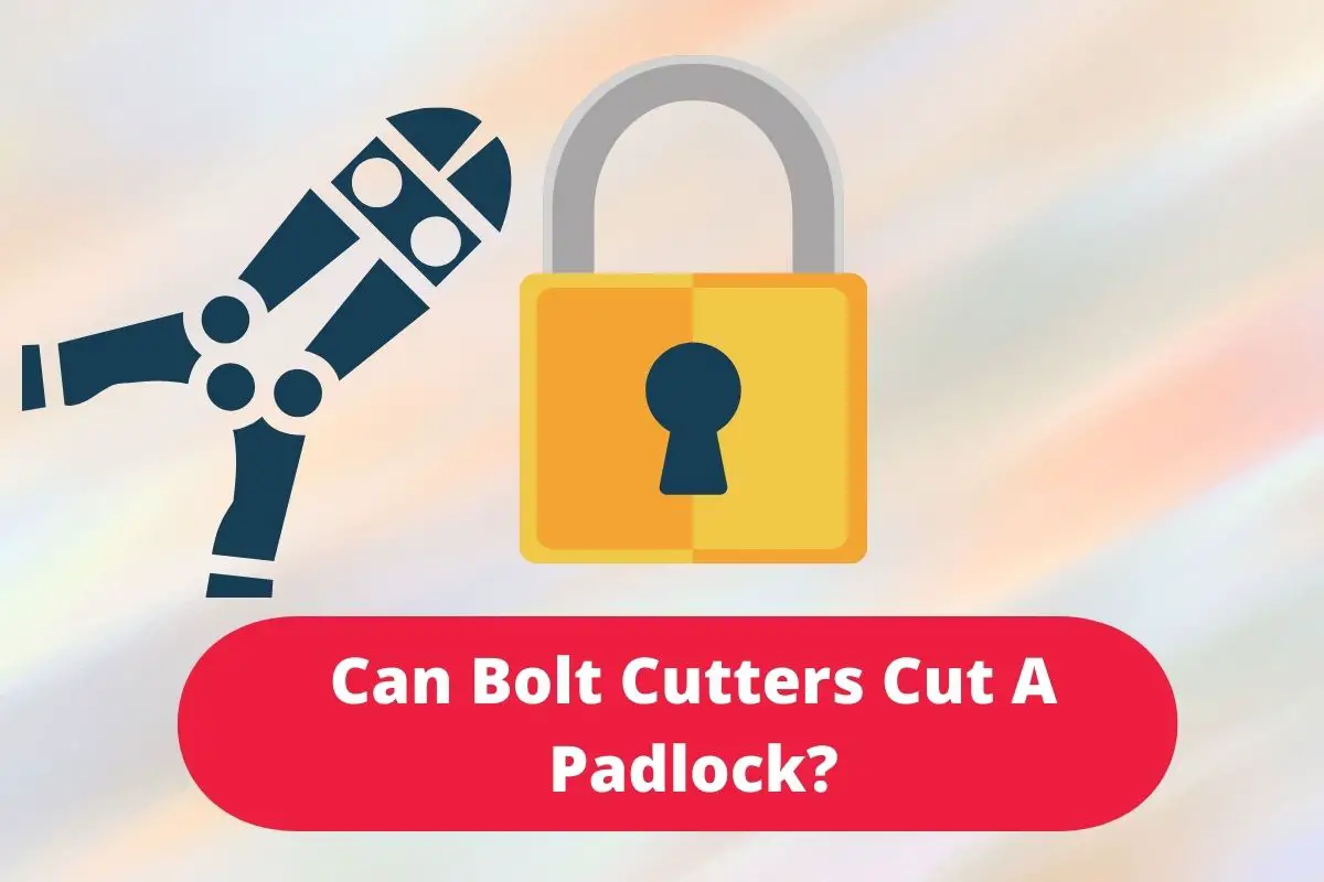 Can Bolt Cutters Cut A Padlock 7 Important Answers Can Bolt Cutters Cut A Padlock 7 Important Answers